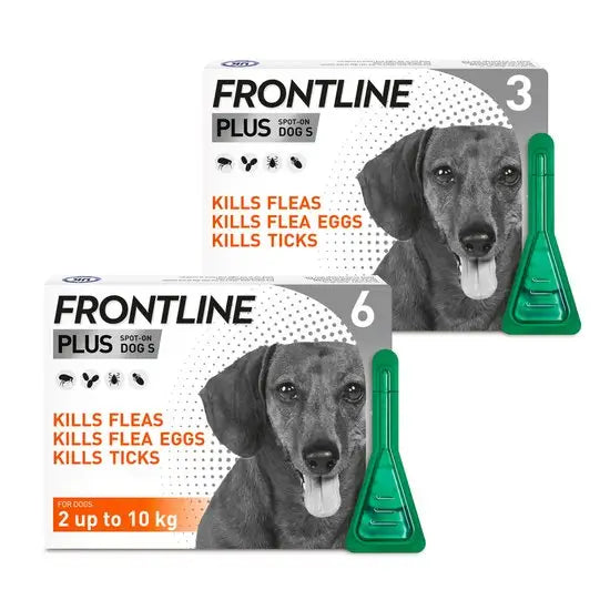 FRONTLINE PLUS Flea & Tick Treatment - Small Dogs Flea & Tick Control ...