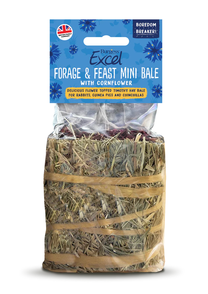 Burgess Excel Forage and Feast Mini Hay Bale with Cornflower for Rabbi ...