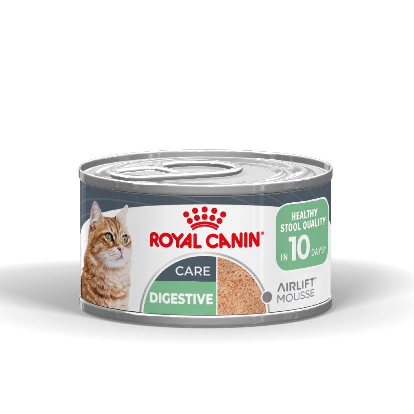 Royal Canin Digestive Care Airlift Mousse Adult Wet Cat Food – MedicAnimal