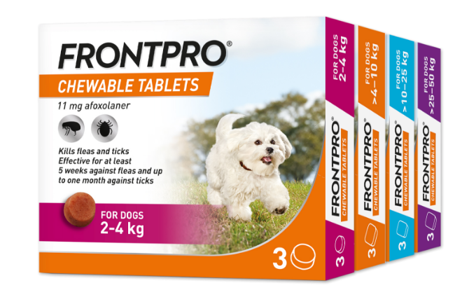 FRONTPRO Flea & Tick Tablets for Dogs | Easy Monthly Protection ...
