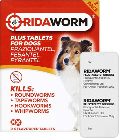 RidaWorm Dog|Dog flea, tick & wormers|Dog|MedicAnimal.com