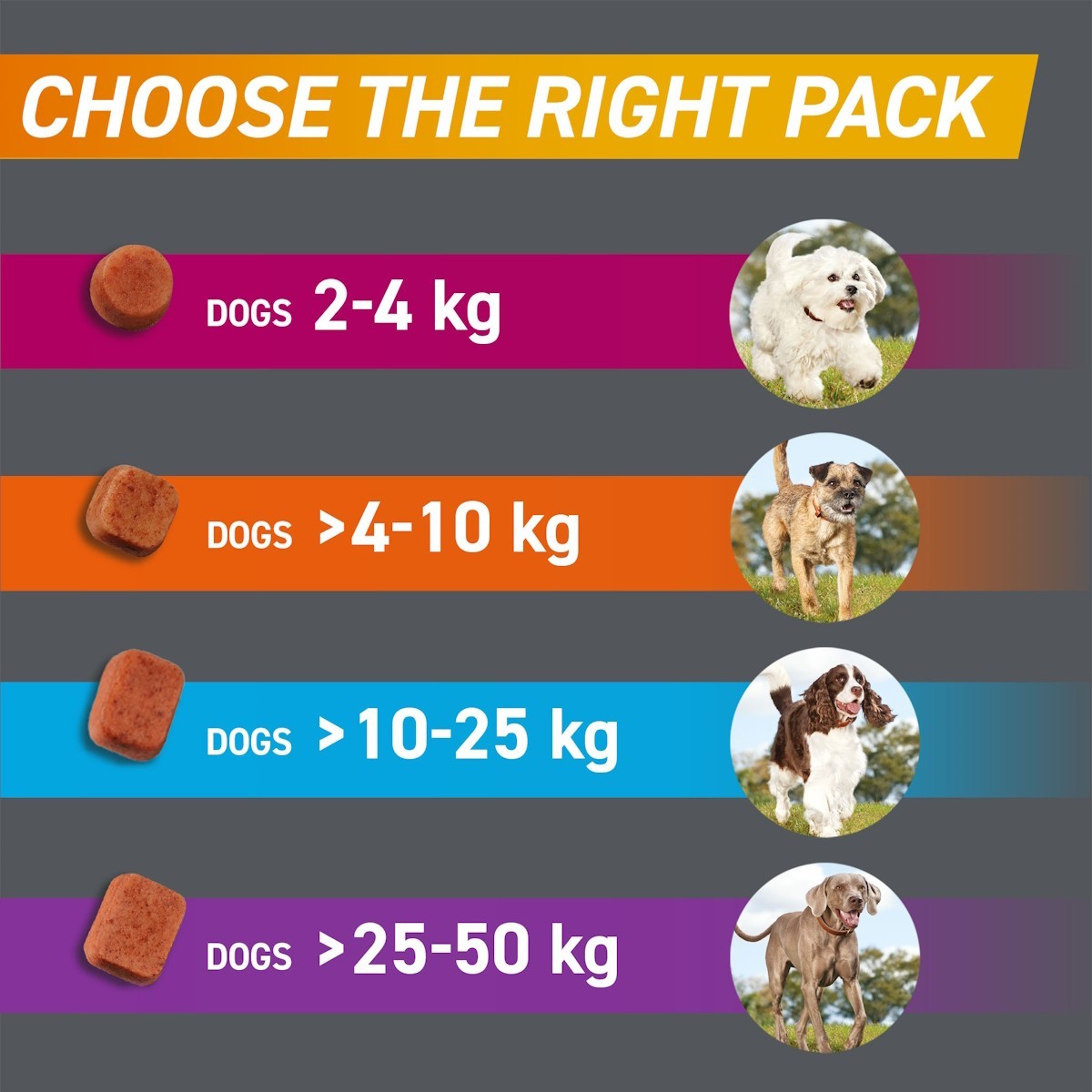 FRONTPRO Flea & Tick Tablets for Dogs | Easy Monthly Protection ...